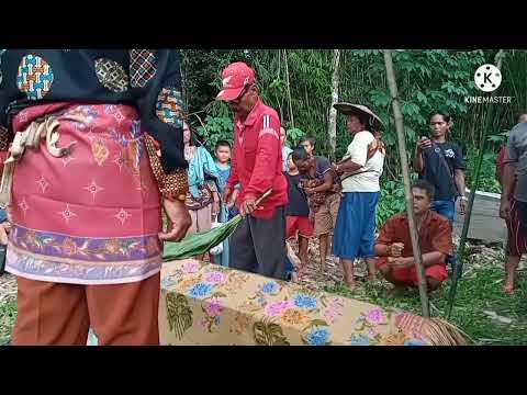 ACARA PENGUBURAN SUKU DAYAK HINDU KAHARINGAN.TIDAK DI KUBUR/MASUK KE PAMBAK