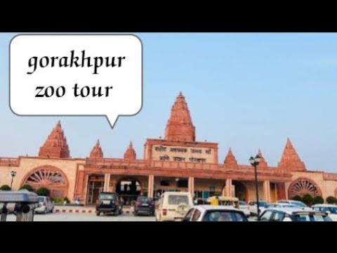 Gorakhpur zoo tour🤩 | gorakhpur चिड़ियाघर | gorakhpur ka #zoo - YouTube