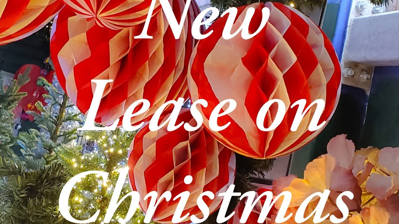 New Lease on Christmas! 🎄 - YouTube