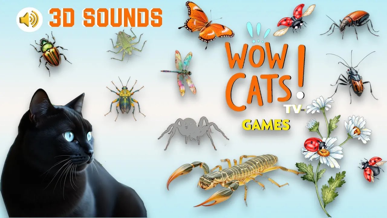 3 Hours of Ultimate Cat Games 😺 Flying Insects & Crawling Creatures for ...