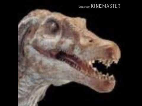 (Jurassic Park 3: Spinosaurus Roar 2001 🦖 🔊) - YouTube