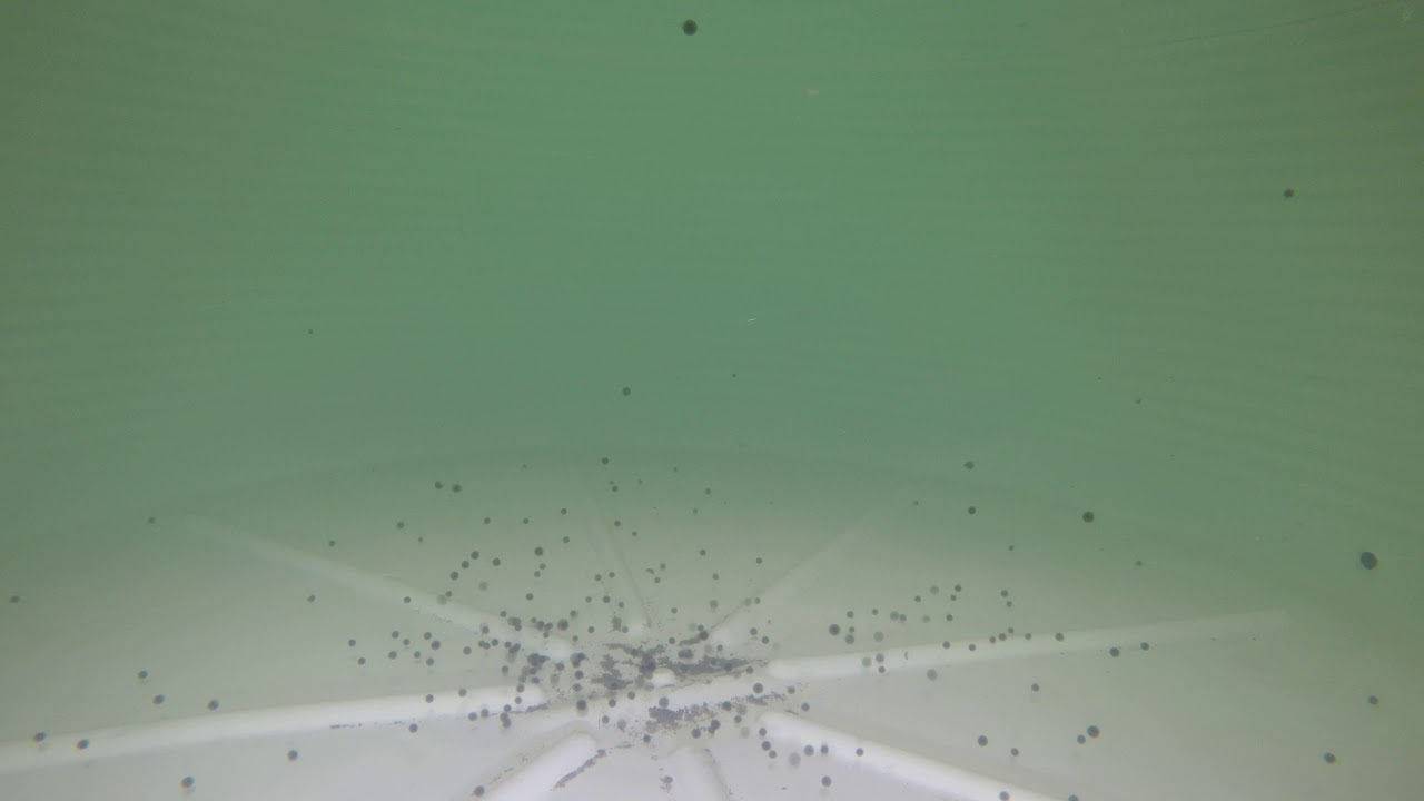 Tank Spinner brought to you by Leigh's Water Tank Cleaning. - YouTube