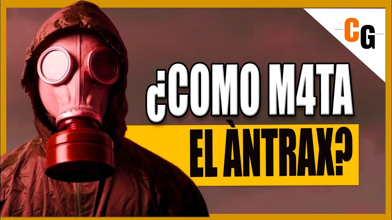 ANTRAX el Arma Biologica MAS TEMIDA- ¿Como Afecta a nuestro Cuerpo ...