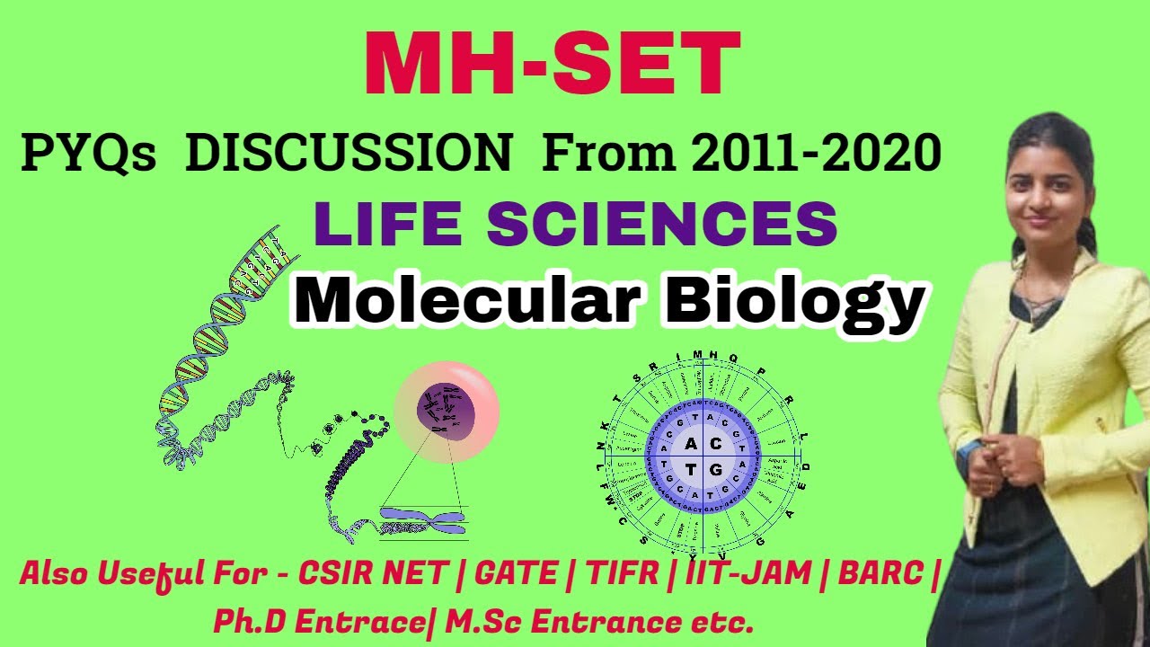 MH-SET PREVIOUS YEAR QUESTIONS l MOLECULAR BIOLOGY-MUTATION REPAIR ...