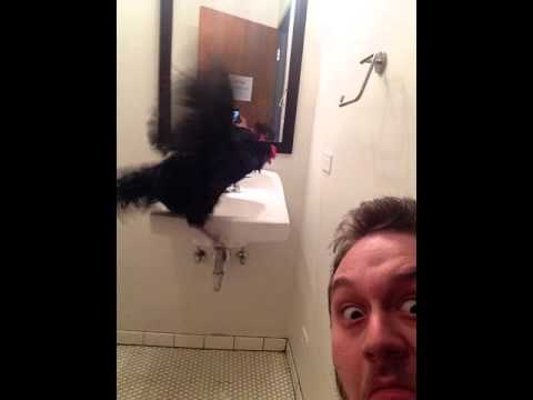 Craziest Selfies On The Internet Ever Compilation ( FUNNY ) - YouTube