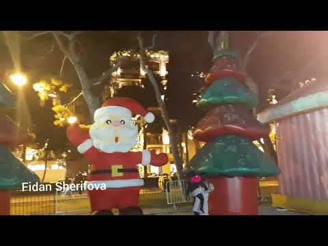 Yenil il 2020. Milli parkada eylence.Как мы хорошо отметили в городе Новый год 2020.