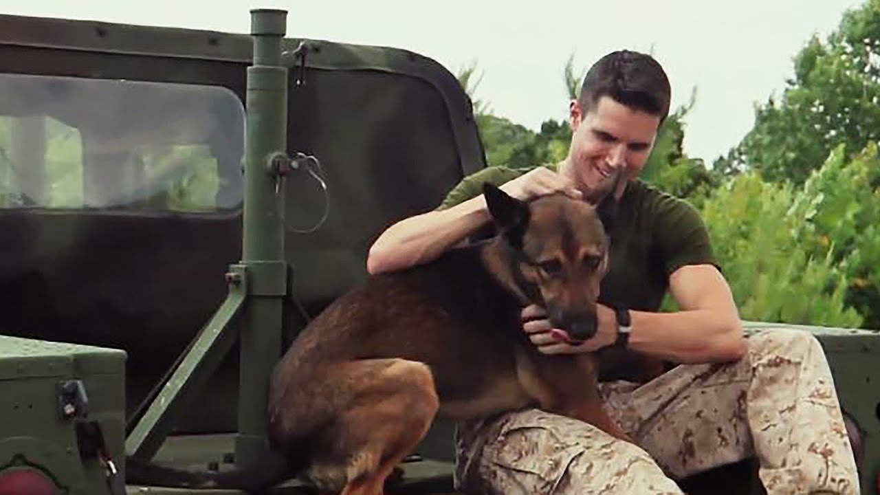 Max -- Dogs of War Featurette -- Regal Cinemas [HD] - YouTube