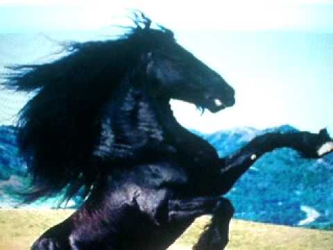 ANTONIO AGUILAR CABALLO PRIETO ASABACHE - YouTube
