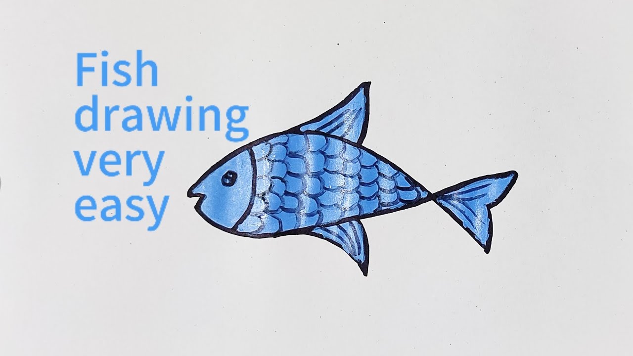 Fish drawing | How to draw a fish drawing very easy step by step - YouTube