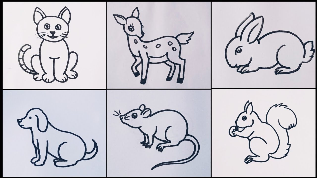 animals drawing // How to draw different types of animals // beautiful ...