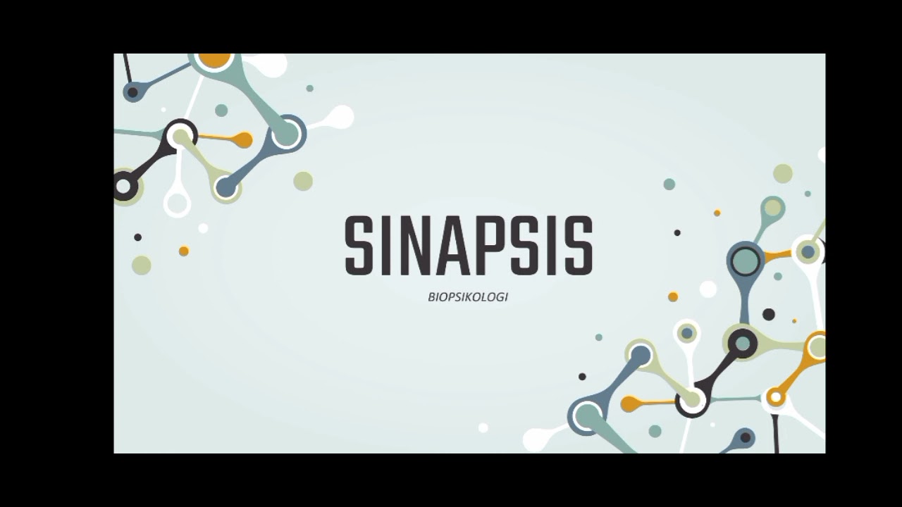 BIOPSIKOLOGI KELOMPOK 4 "SINAPSIS" - YouTube