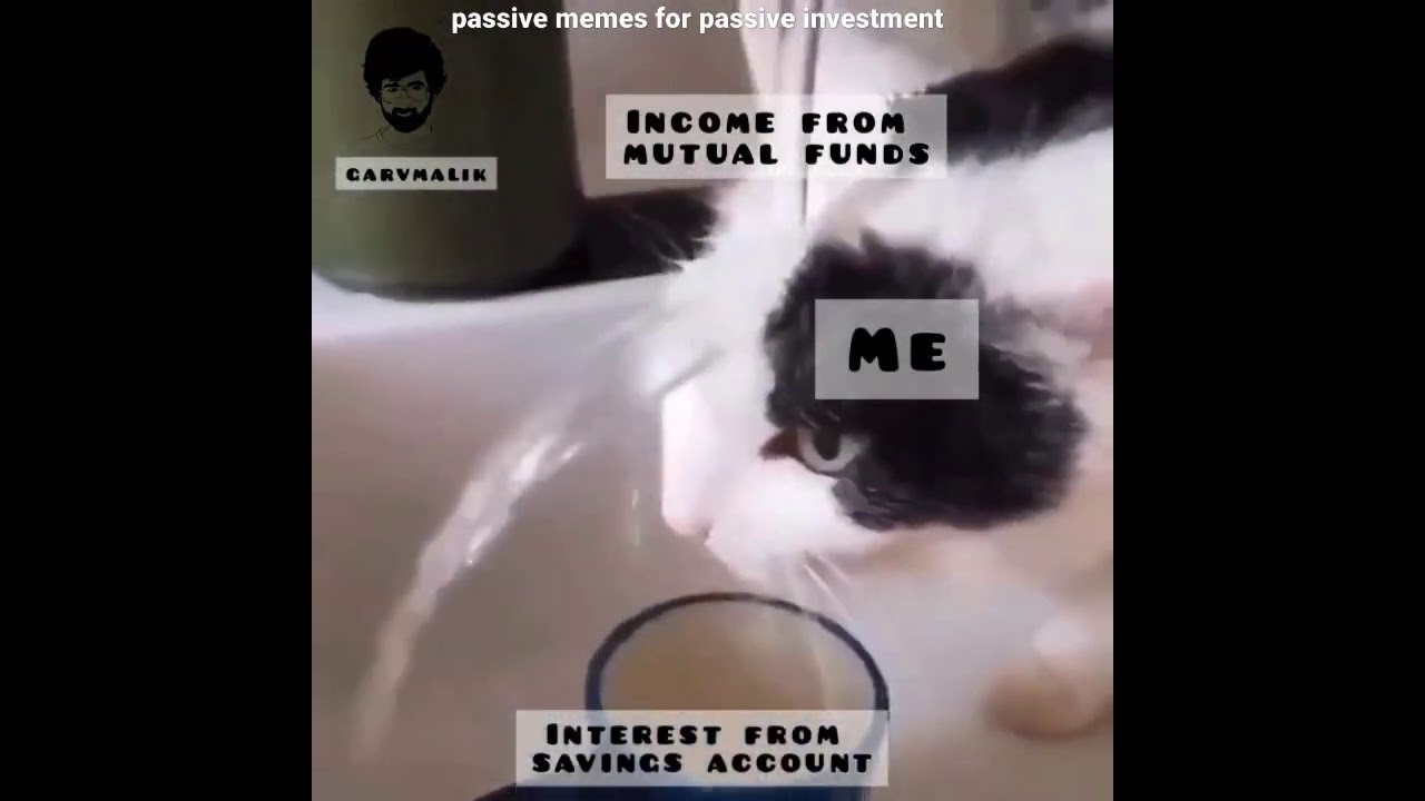 passive memes for passive income - YouTube