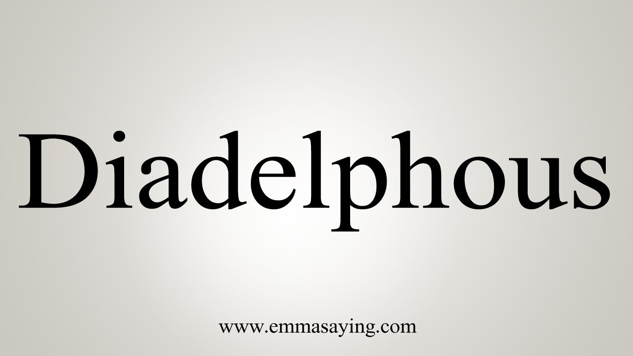 How To Say Diadelphous - YouTube