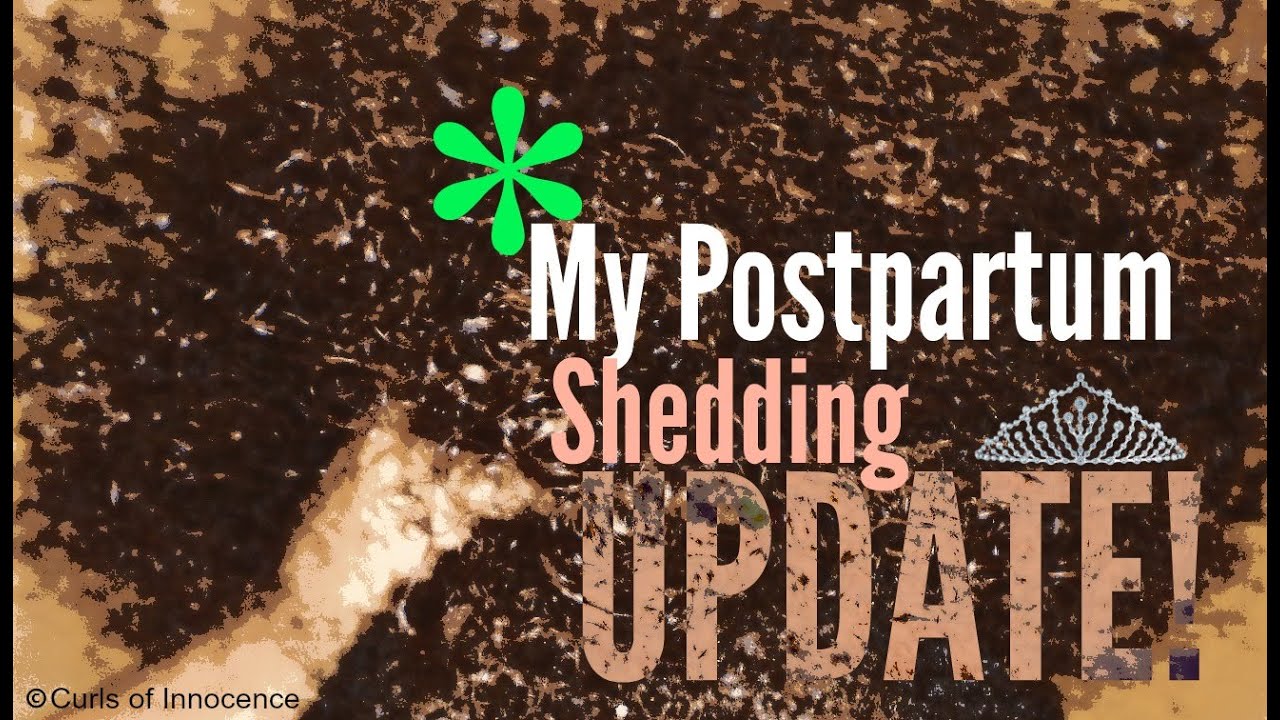 Postpartum Shedding Update! Baby #4 | Curls of Innocence - YouTube