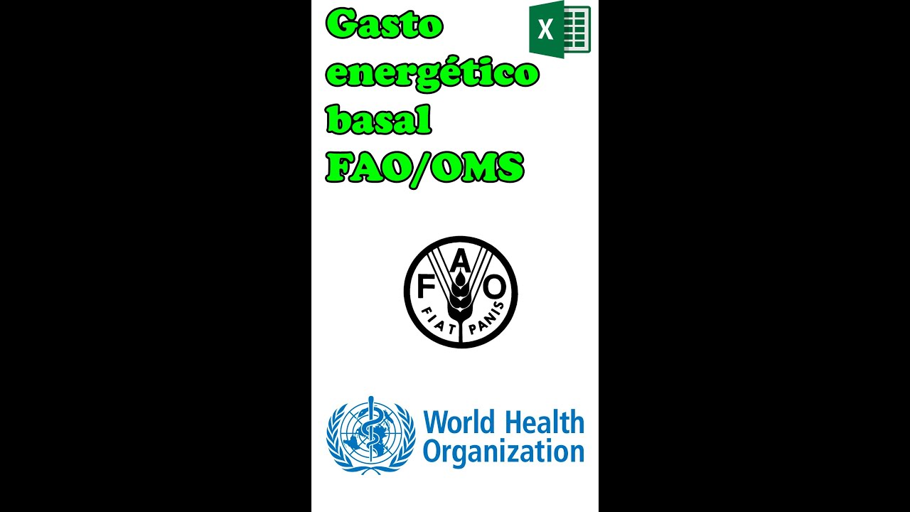 Gasto energético basal en Excel | FAO/OMS - YouTube