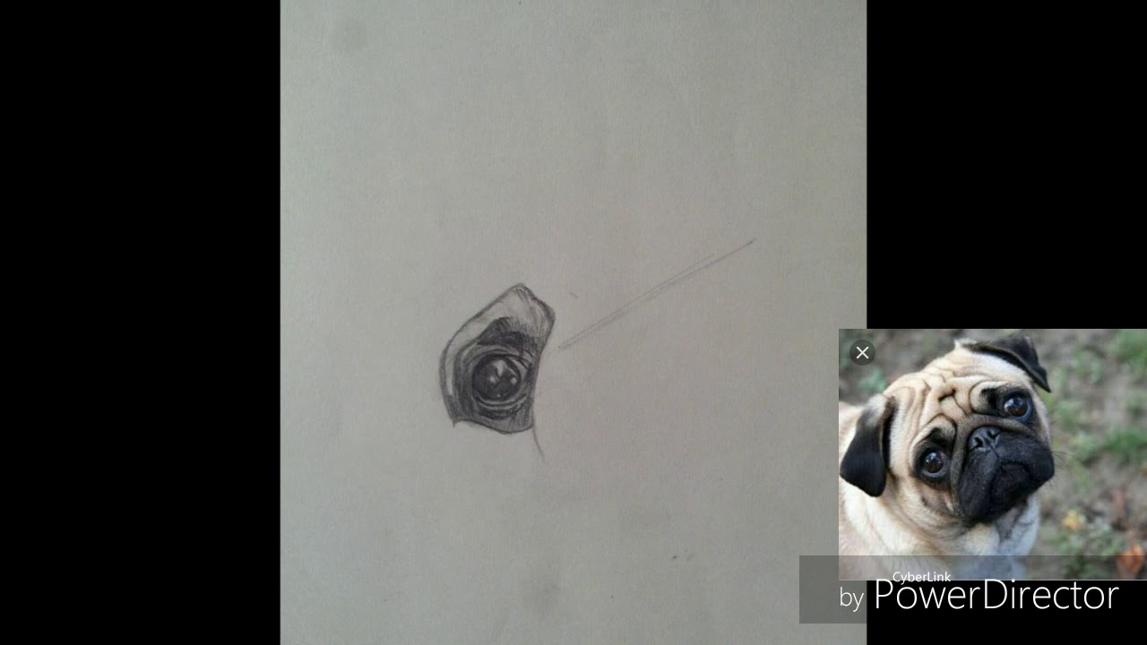 HOW TO DRAW A PUG DOG (VODAFONE)😂 ||SHIVAM NEW ARTS - YouTube