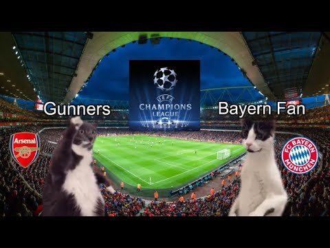 CAT MEMES Arsenal vs Bayern München - YouTube