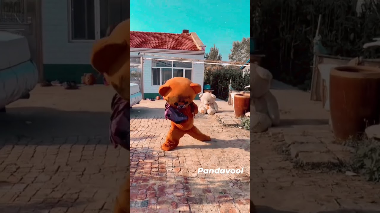 panda reels 😂|panda funny video😁||panda comedy video#shorts #ytshorts ...