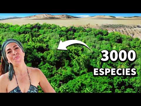 ¡Cómo esta mujer convierte el desierto en bosque de alimentos y plantas medicinales!