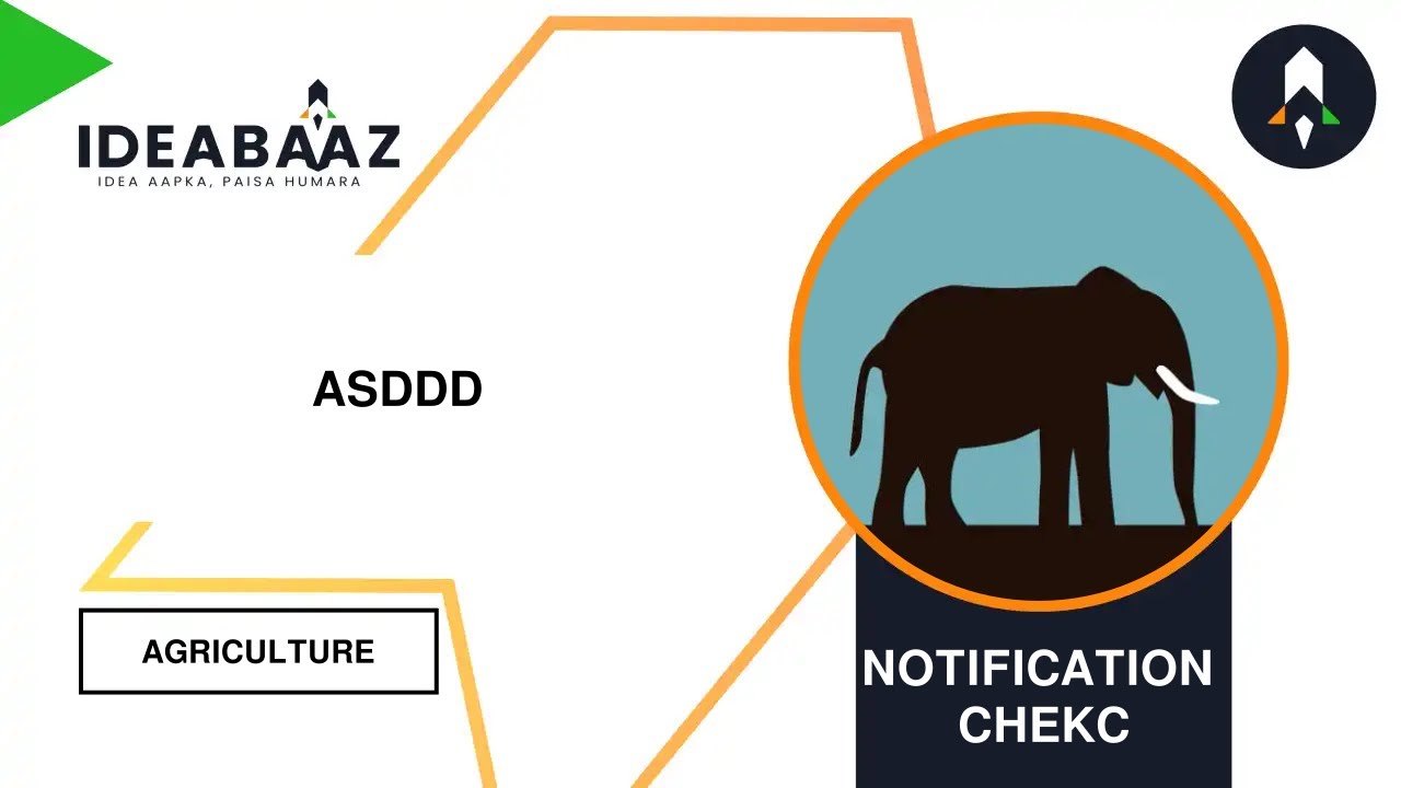 asddd | Notification Chekc | 13 - YouTube