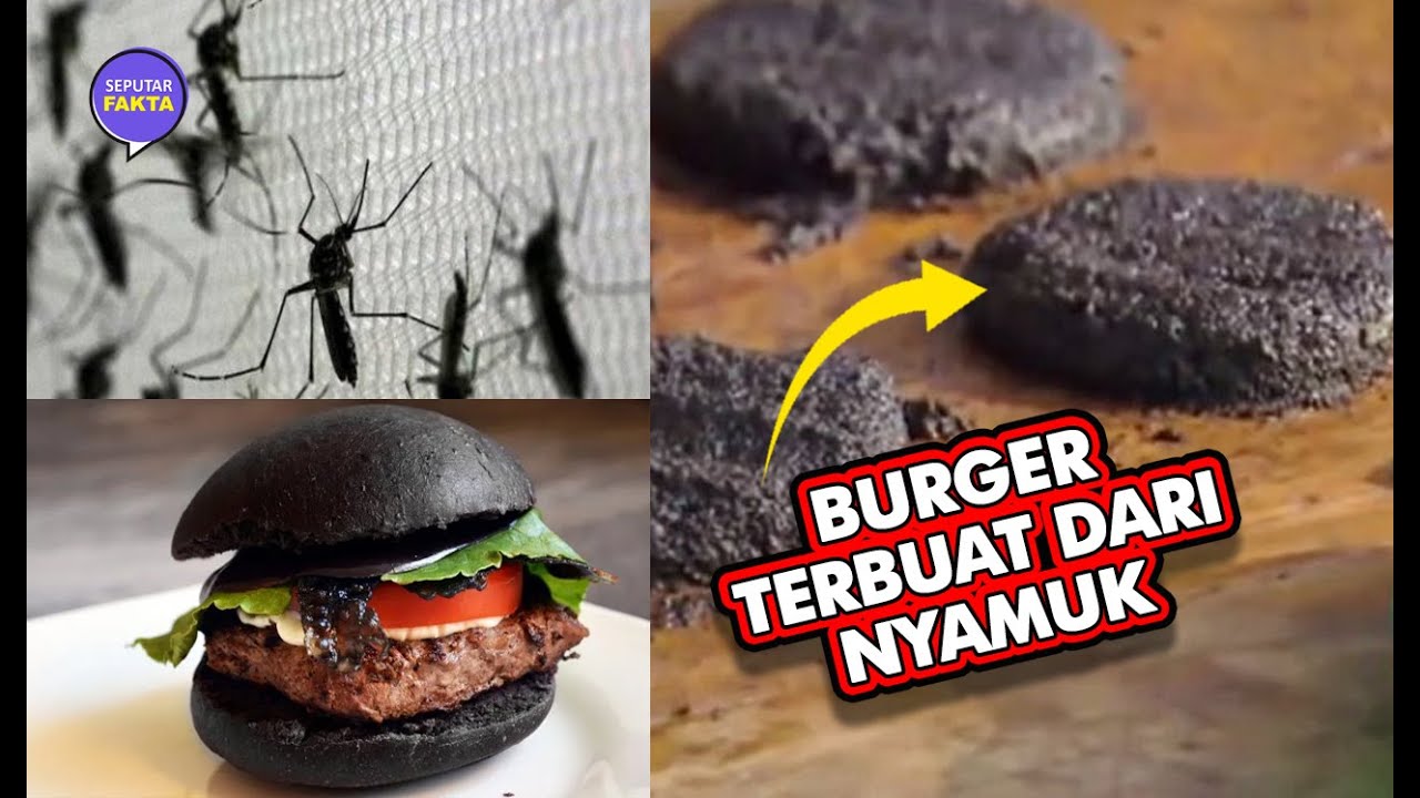 MOSQUITO BURGER FROM AFRICA!! #aboutfacts786 #unique - YouTube