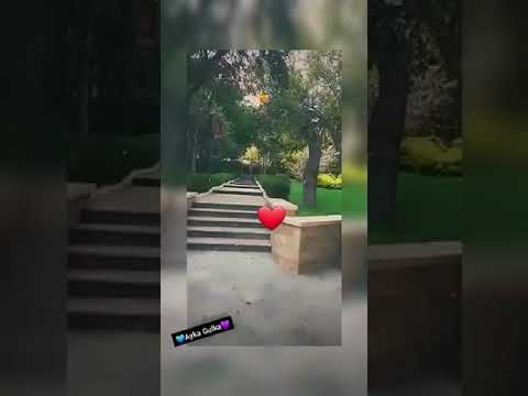 Hamı Gedər Fərq Etməz ,Sən Gedərsən Ay Tutular.[Meta Morf-Elay]Şəxsi Video.