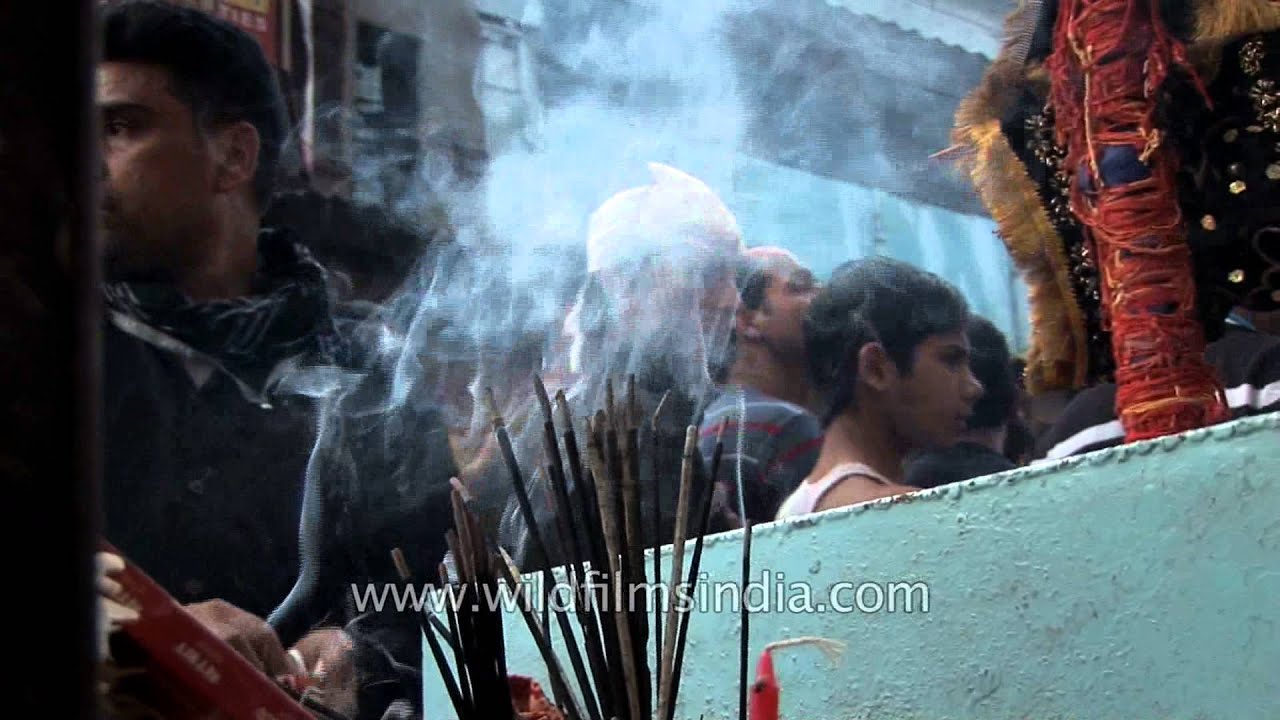 Shia muslims performing rituals at Muharram - YouTube