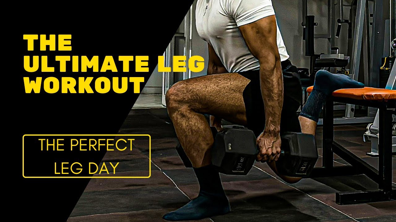 Ultimate Leg Day Workout: Build Stronger Quads, Hamstrings & Calves ...
