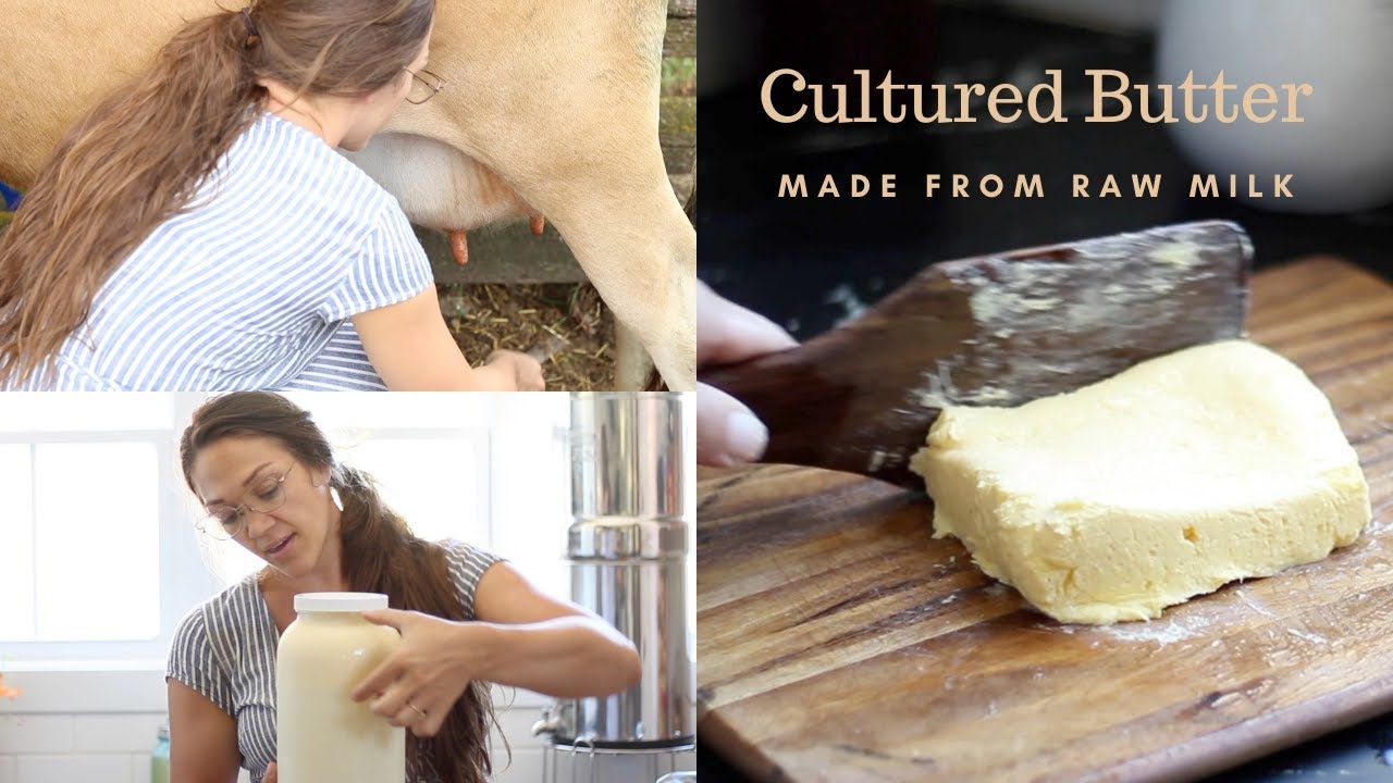 How to Make Cultured Butter from Raw Milk | Come milk my Jersey cow ...