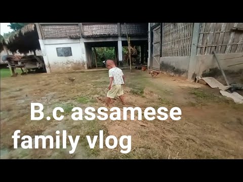 B.C assamese family vlog assam - YouTube