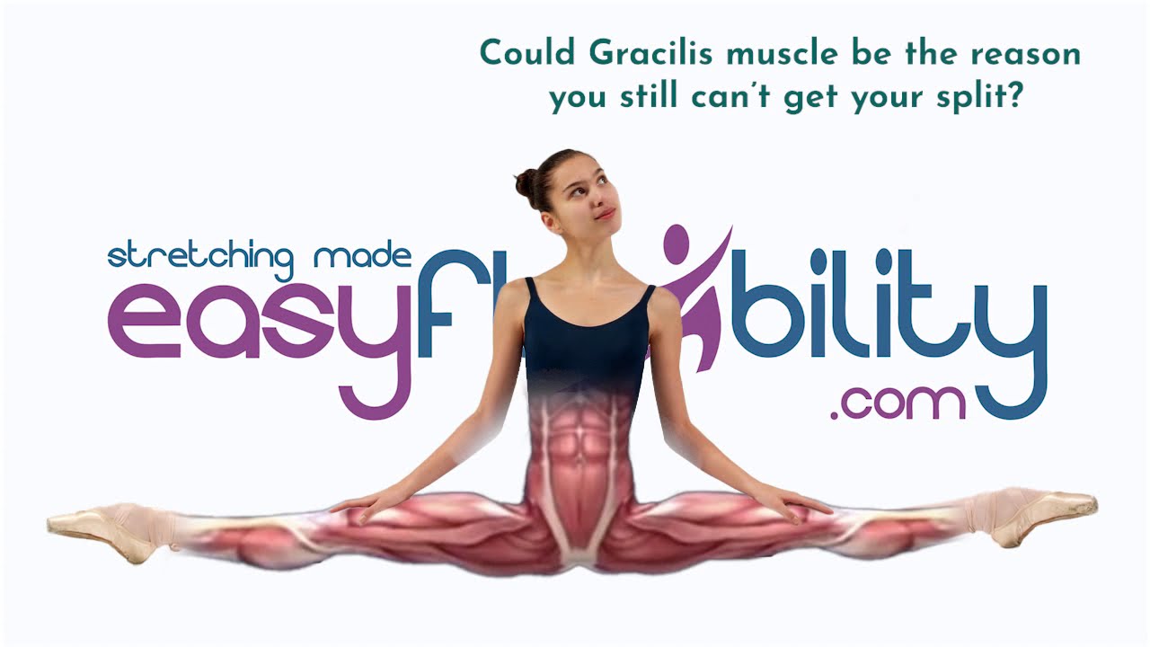Could Gracilis muscle be the reason you still can’t get your split ...