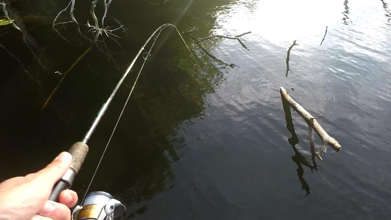 Crappie Fishing - Searching Down Trees For Elusive Crappie... - YouTube