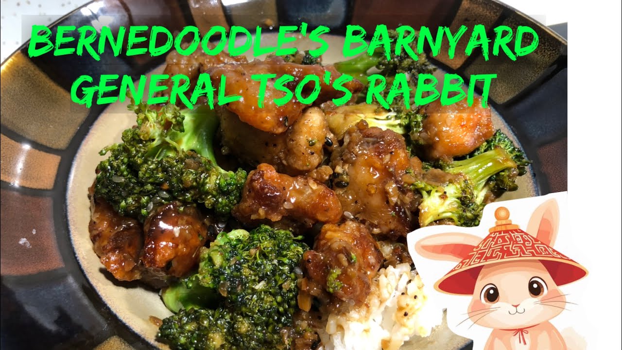 General Tso’s Rabbit Recipe: Cooking with Rabbit VLOG#039 - YouTube