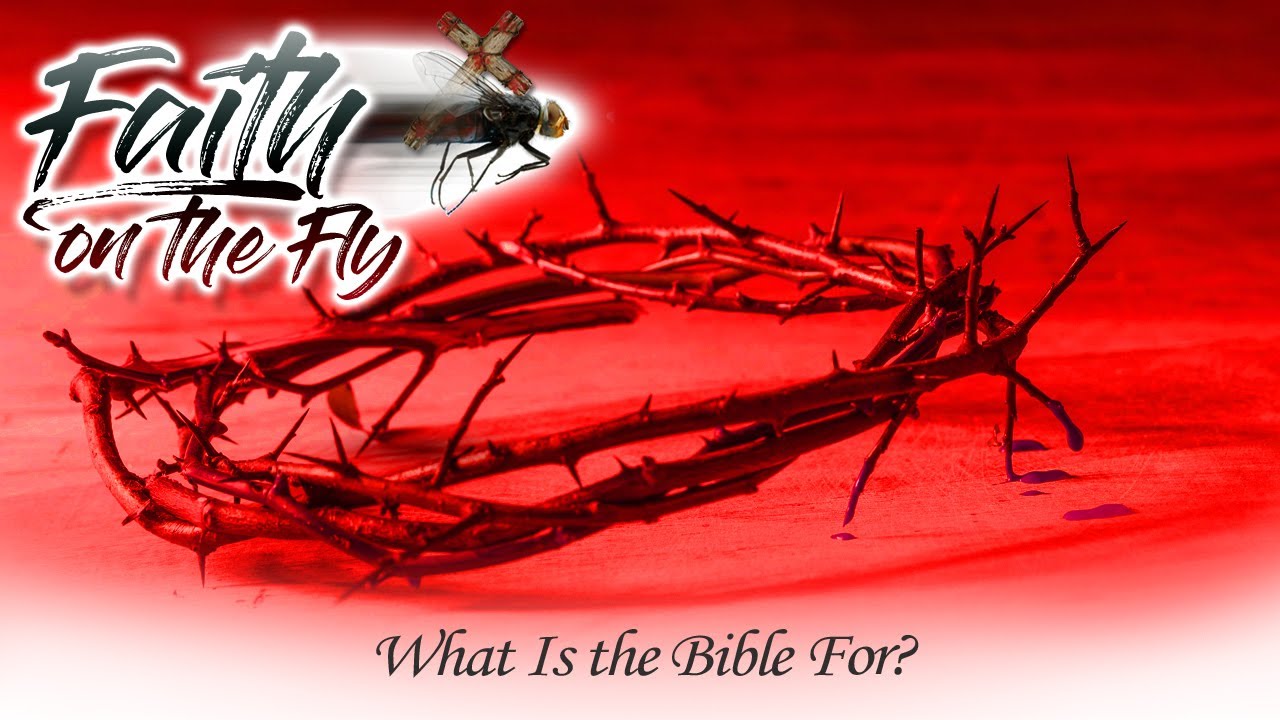 Faith on the Fly- What Is The Bible For? - YouTube