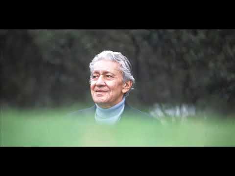 Héctor Rojas Herazo, El pintor y poeta de Santiago de Tolu. Su voz II ...