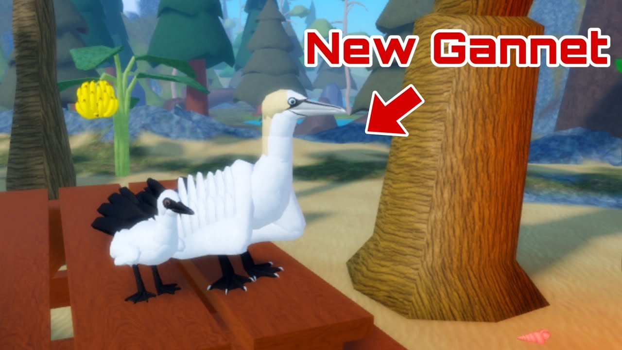The New Gannet Is Great!! (Roblox Feather Family) - YouTube