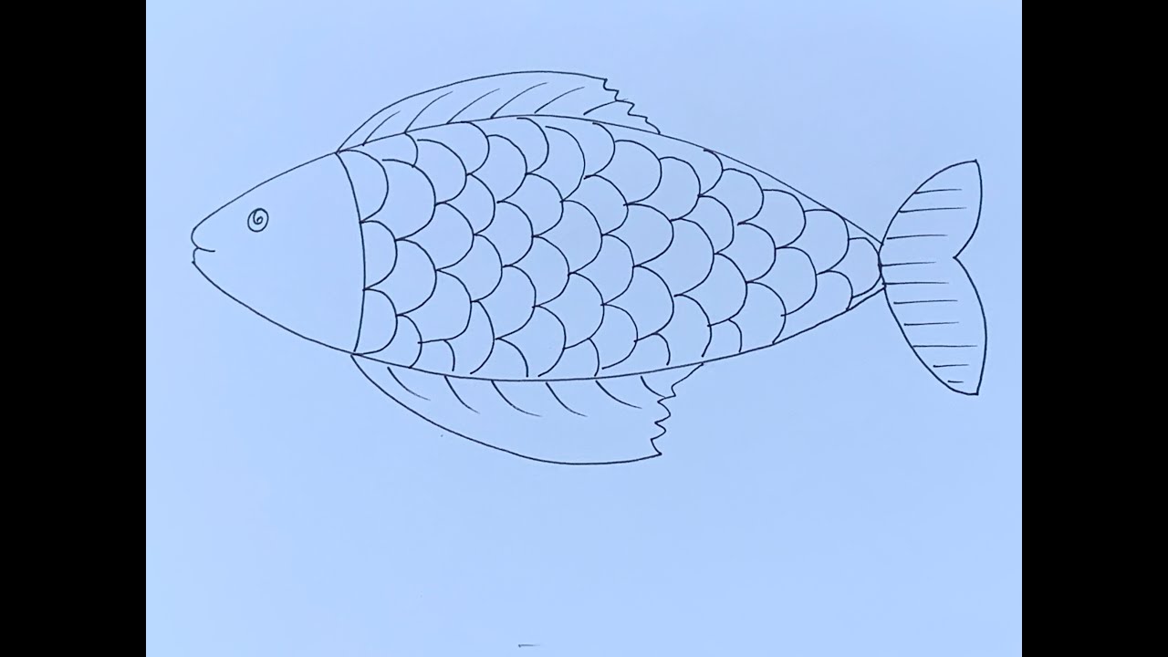 How to draw a Fish easily? - YouTube