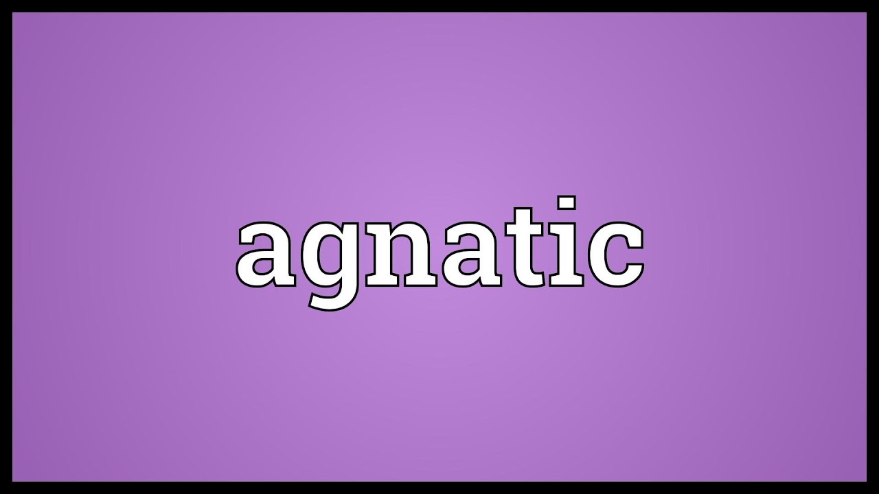 Agnatic Meaning - YouTube