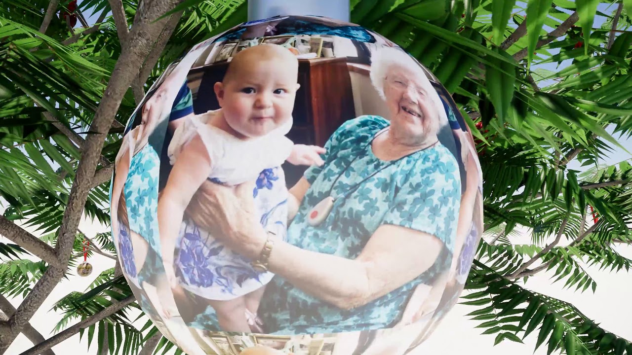 'Webb Family Tree' 2019 - YouTube