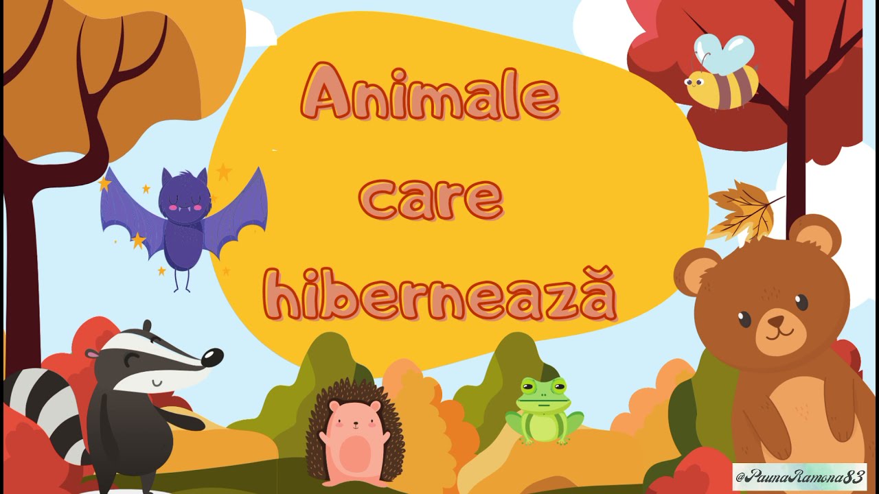 Animale care hibernează 🦔🦇🐻🐝🐸 || toamna || animale || cunoașterea ...