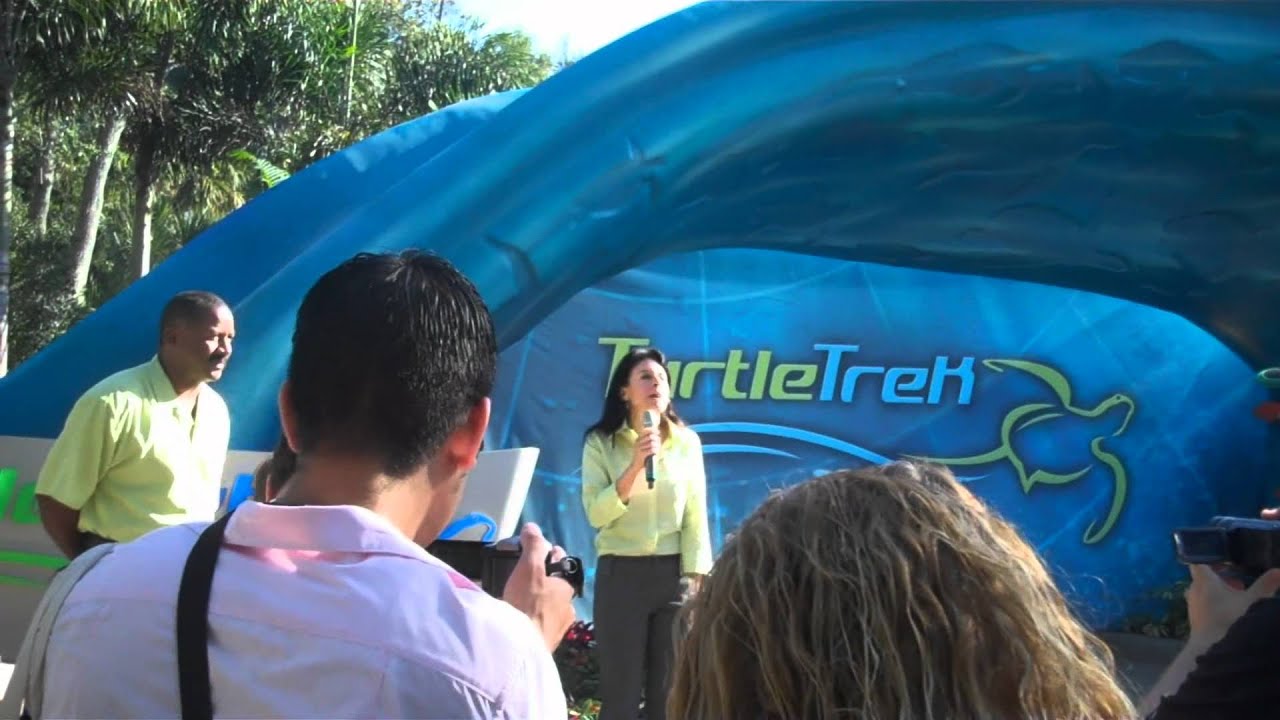 Turtle Trek Grand Opening - YouTube