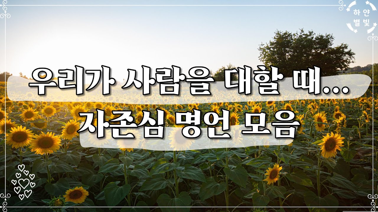 우리가 사람을 대할 때 자존심 명언 모음 자존심 명언 글귀 조언 인생명언 유명인명언 명언글귀 Youtube