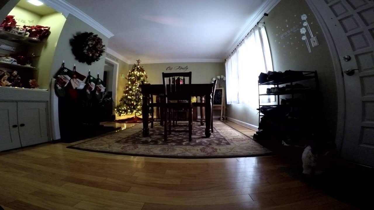 LEGO THE YORKIE LEFT AT HOME... WARNING: the following footage contains ...