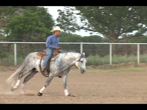 Ichibon BMF and Steve Kutie from Kutie Performance Horses. Bridless ...