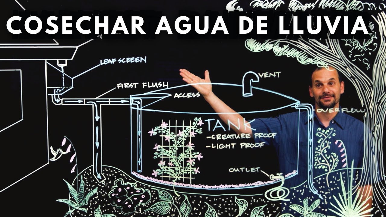 Cómo RECOLECTAR AGUA DE LLUVIA de tu techo - YouTube