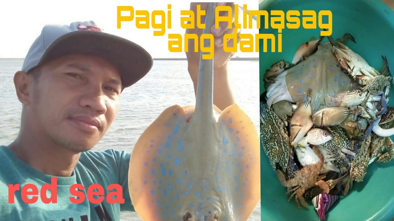 Fishing in Red sea Saudi Arabia Daming Pagi at Alimasag. 🐠🐙 - YouTube