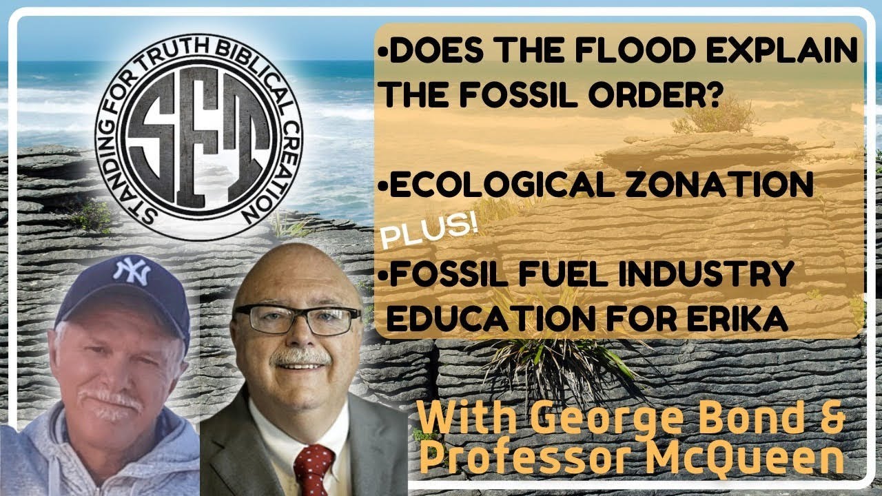 Order in the Fossil Record | Professor David McQueen (Plus Debunking ...