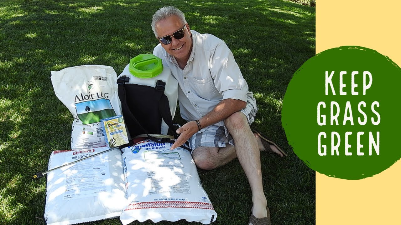 5 Tips To Keep Grass Green - YouTube