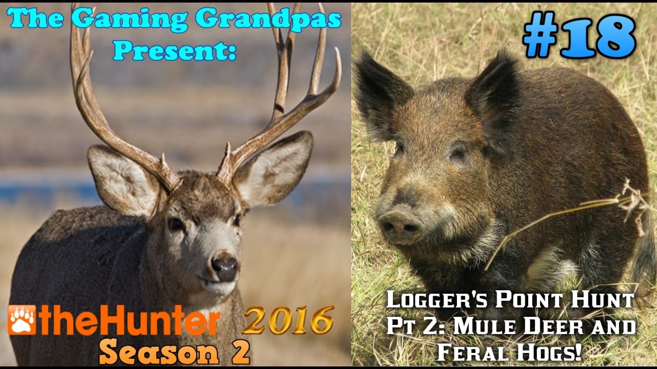 Logger's Point Hunt - Part 2: Mule Deer and Feral Hogs! - theHunter ...