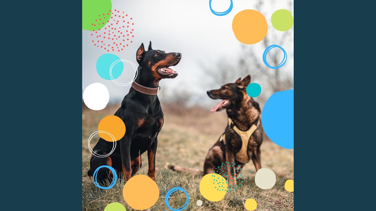 Majestic Moods for Easy Doggies - YouTube